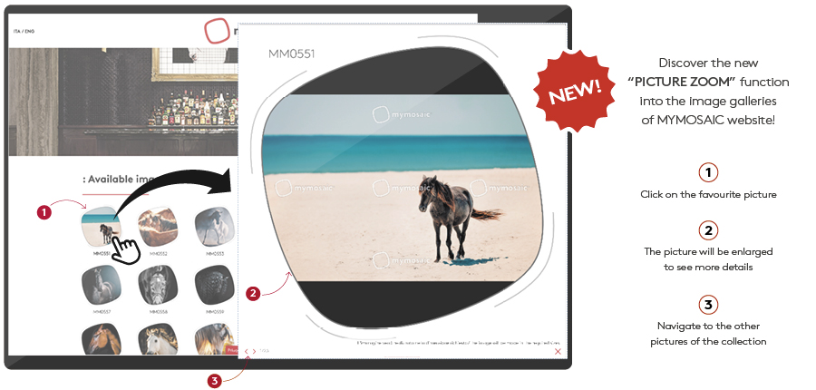 New WebSite UPGRADE! | MyMosaic
